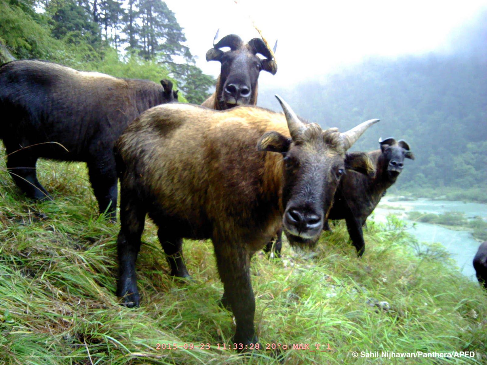 Etalin Campaign Tool Kit